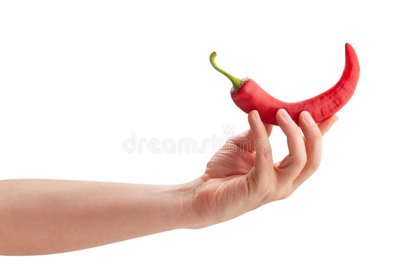 Pepper in hand stock photo. Image of meal, paprika, healthy - 102549314