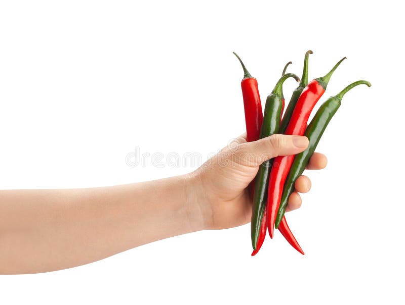Chili pepper in hand stock photo. Image of isolated - 252699542