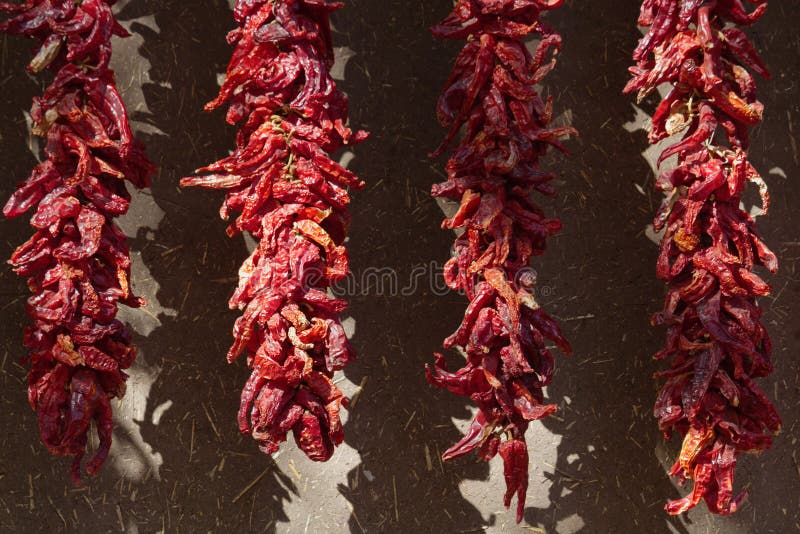 Chili Pepper Ristra stock photo. Image of hanging, food - 26456782
