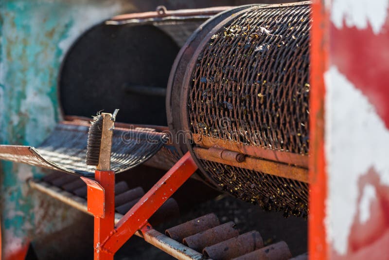 Chili Pepper Roaster stock image. Image of food, hatch - 59313239