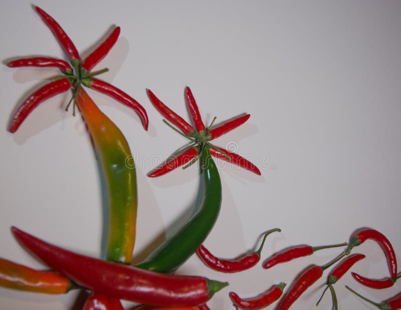 Chili Pepper Shaped Like Palm Trees, Different Types and Colors, Very ...