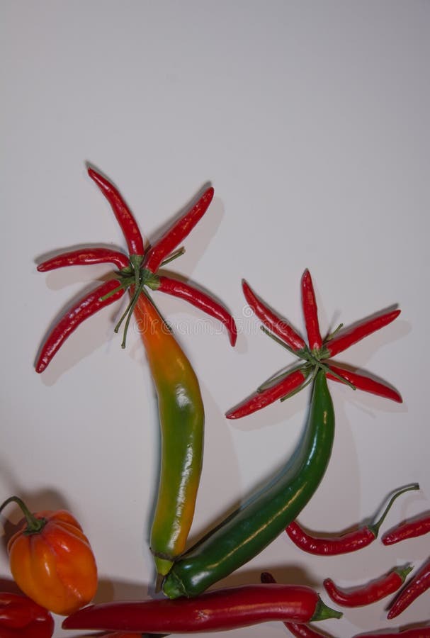 Chili Pepper Shaped Like Palm Trees, Different Types and Colors, Very ...