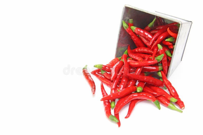 Chili pepper in a tin can stock photo. Image of cuisine - 82542646