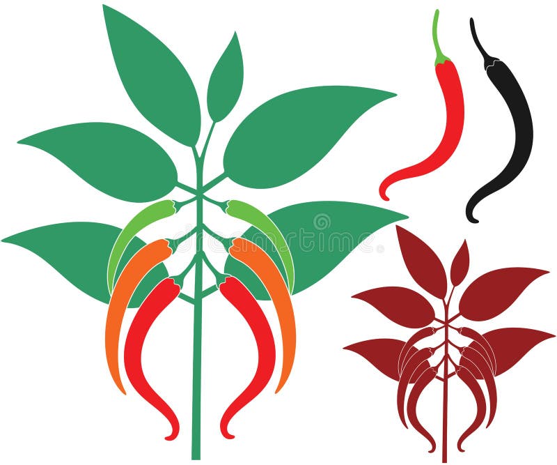 Chili Pepper stock vector. Illustration of chilli, bush - 48575364
