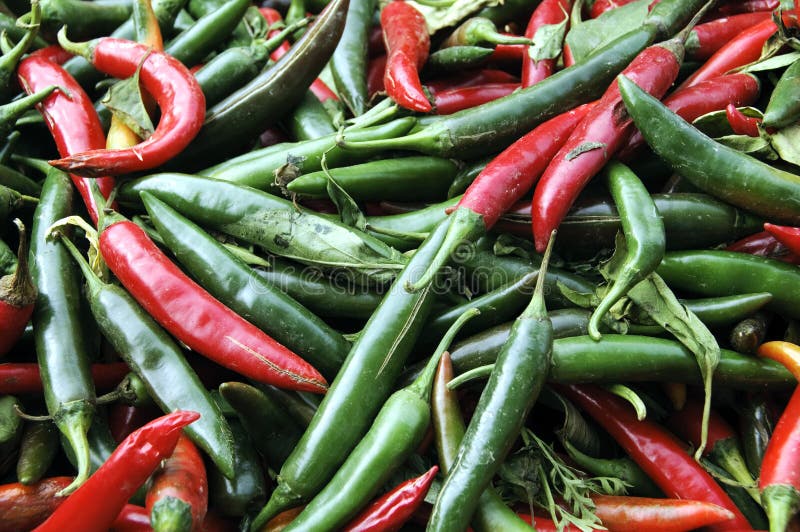 Chili peppers stock photo. Image of jalape, healthy, fruit - 12636456