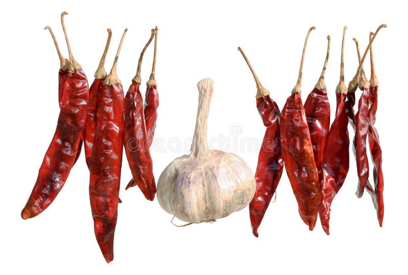 Red Shriveled Pepper On A Natural White Background. Stock Photo - Image ...