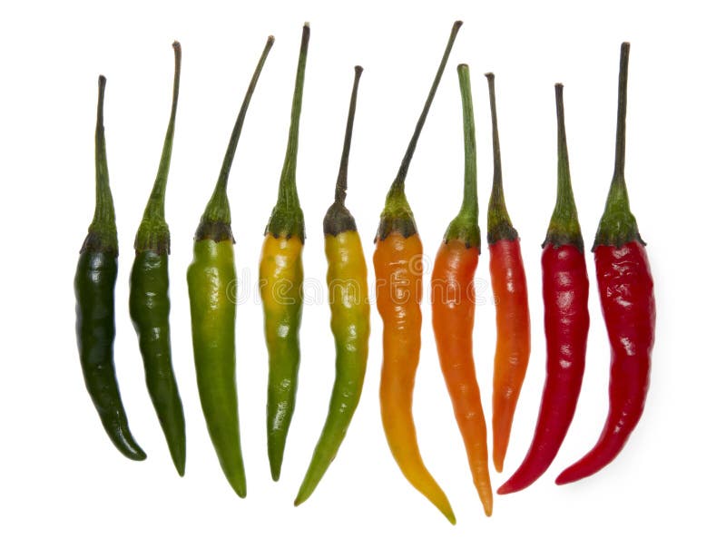 Small Thin Green Chili Peppers Stock Image - Image of heat, healthy ...