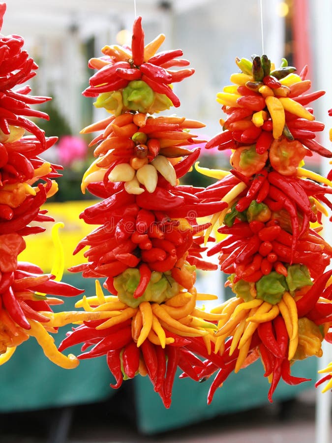 Chili Peppers Hang on a String. Stock Image - Image of chili, green ...