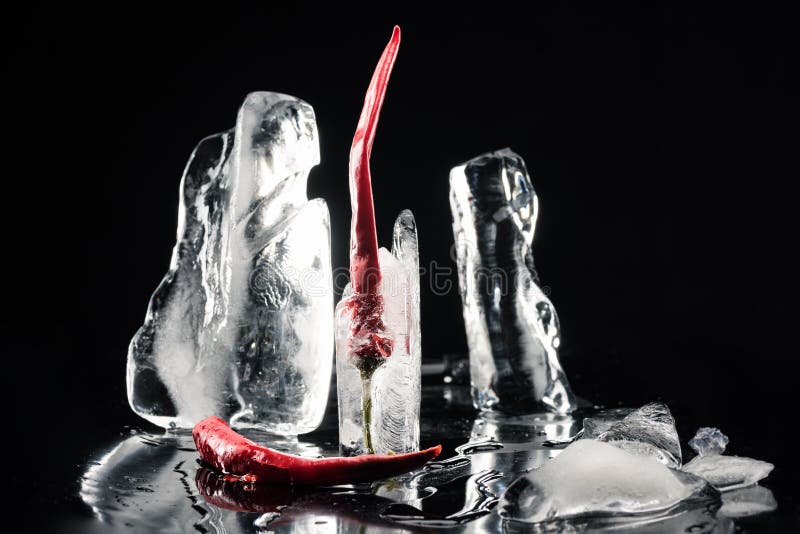 Chili Peppers in Melting Ice Stock Photo - Image of spicy, chilli ...