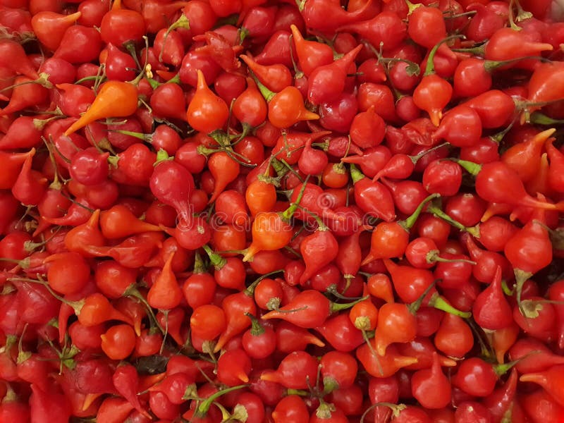 Red Hot Chili Pattern Texture Background Stock Photo - Image of burning ...