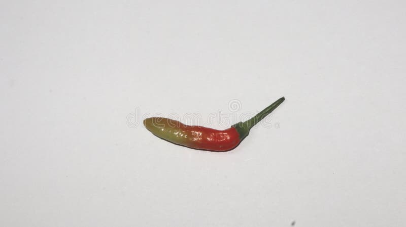 Chili with Rainbow Colors. Red Chili Stock Photo - Image of lighting ...