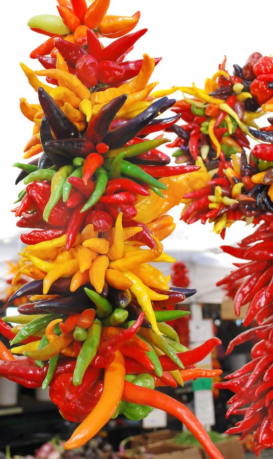 Chile Ristras in Autumn stock image. Image of ristras - 60175221