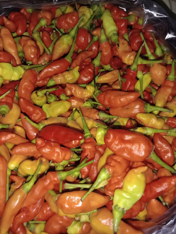 Java Wanphoto Stock Photos - Free & Royalty-Free Stock Photos from ...