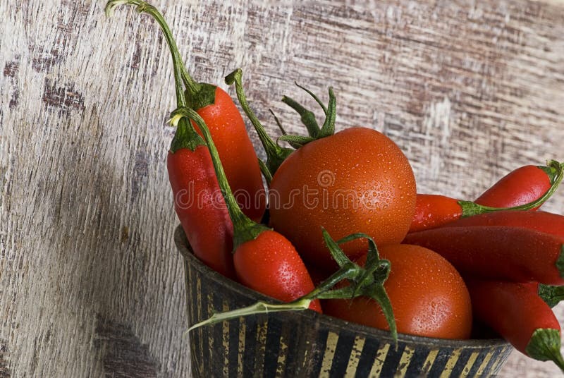Chili and tomato stock photo. Image of tomato, chili - 14273480