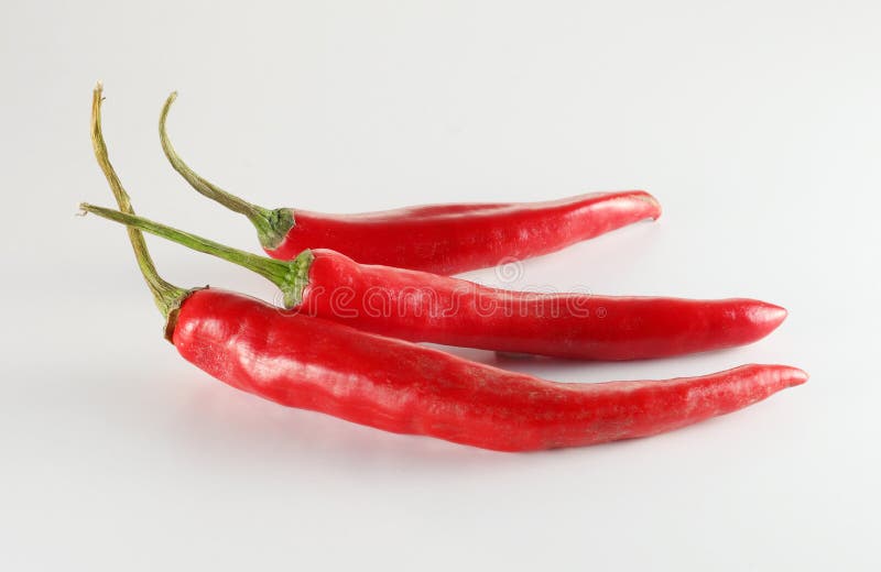 Chilies stock image. Image of white, spicy, ingredient - 24389833