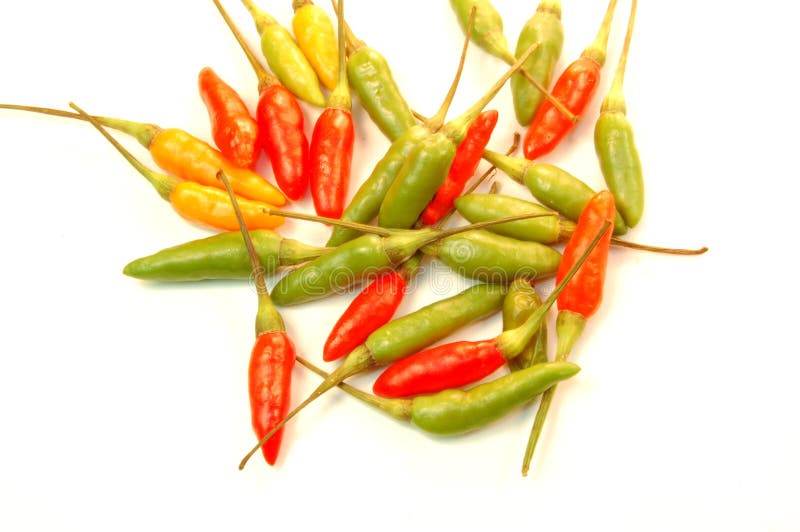Chilies stock image. Image of cooking, organics, vegetables - 948501