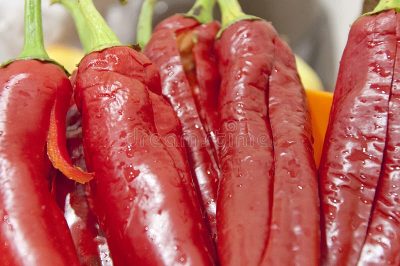 Chilies stock photo. Image of capsicum, chili, chilies - 59498446