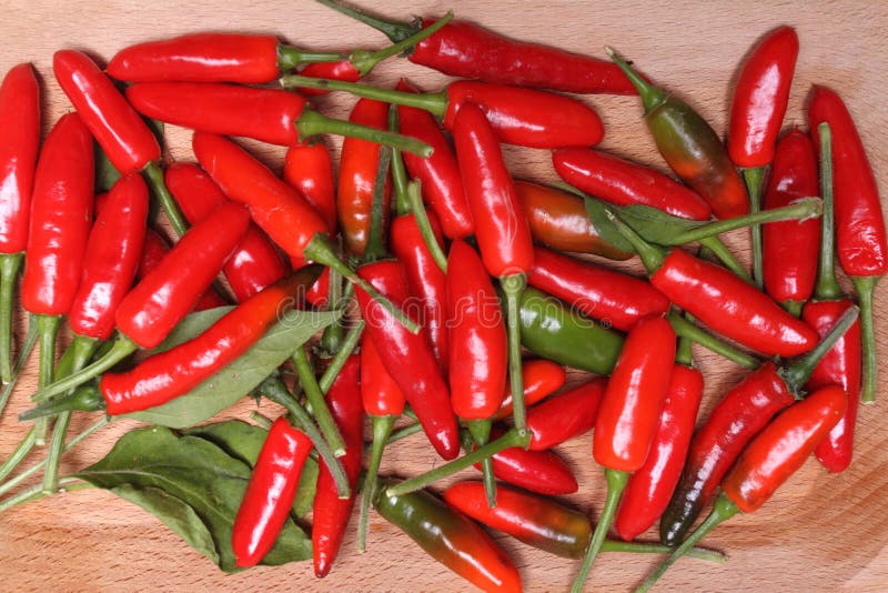 Chilies stock photo. Image of ingredient, chilies, food - 77032734