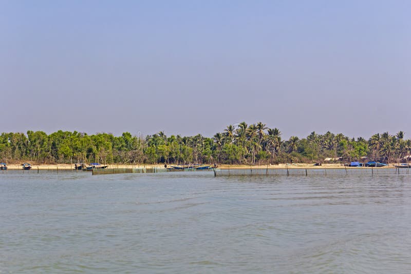Landscape at chilika lake stock image. Image of chilika - 183044557