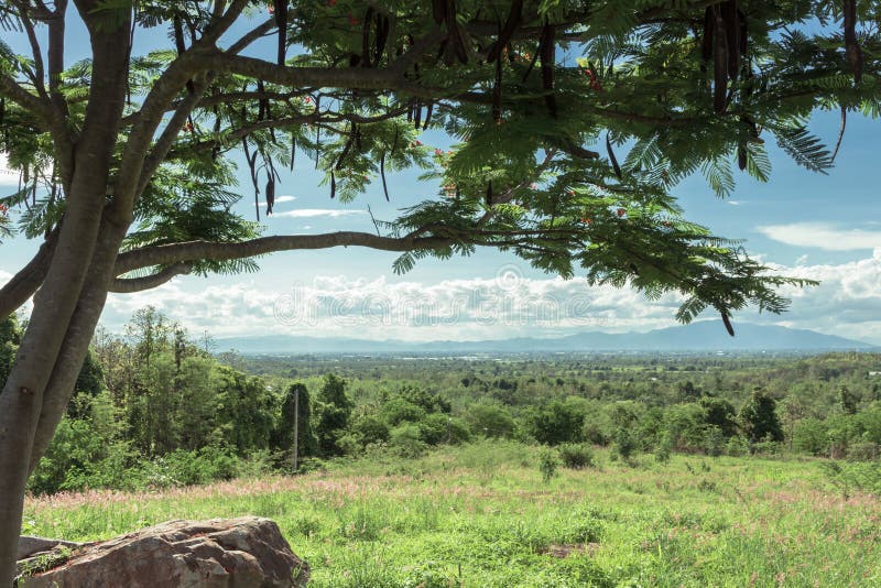 Chill day stock image. Image of rock, plant, clouds, backgroud - 75378687