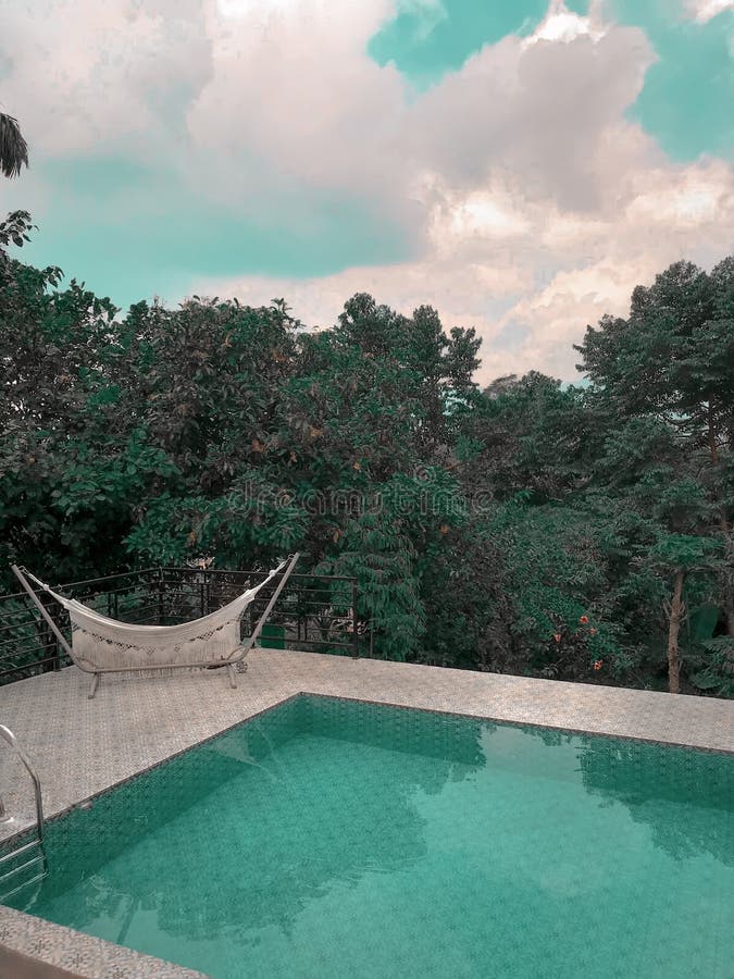 Chill with the Jungle stock photo. Image of estate, jungle - 230103000