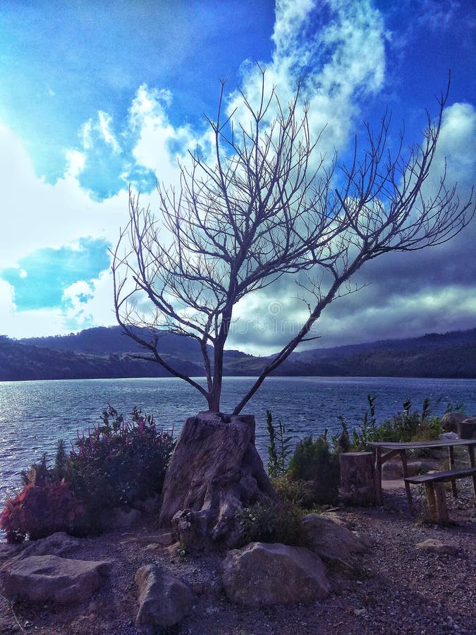 Chill lake atmosphere stock image. Image of reflection - 241247017