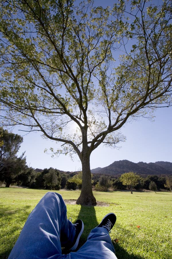 Chill out stock photo. Image of ecological, flare, chill - 357560