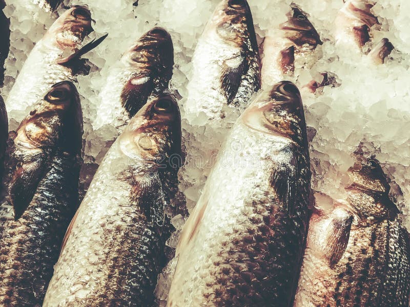 Chilled Fish on Ice on the Counter in the Market Stock Image - Image of ...