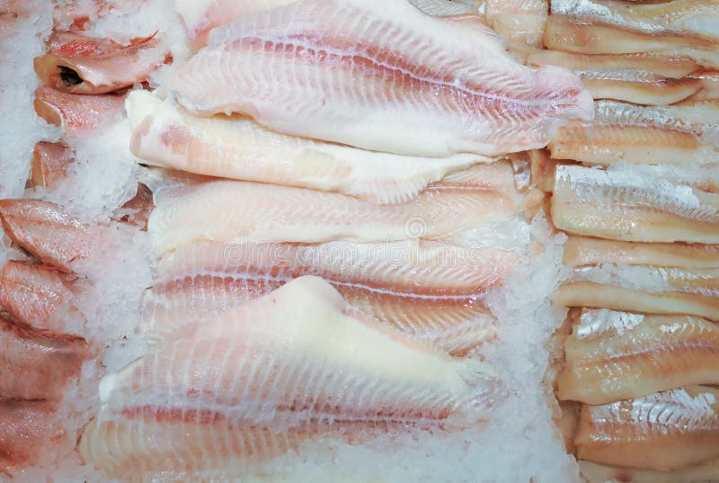 Chilled trout fish in ice stock image. Image of silver - 176347633