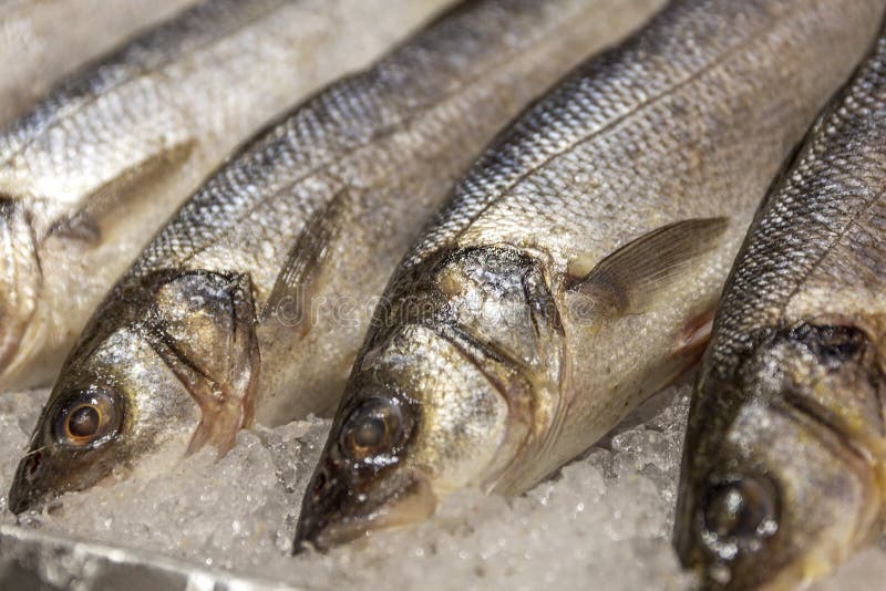 Chilled Fish on Ice in the Store. Close-up Stock Photo - Image of fish ...
