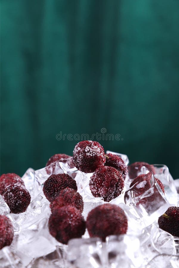 Chilled Red Bayberries on Ice Cubes, Indoor Dark Background Stock Photo ...
