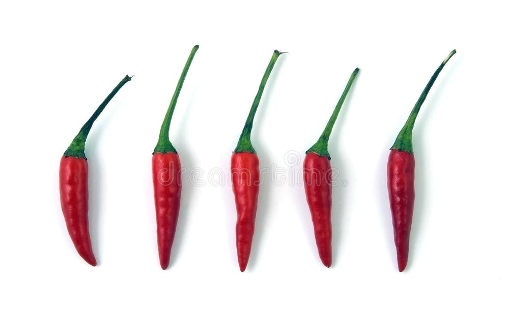 Chilli stock photo. Image of fiery, burn, chilli, asian - 1997424