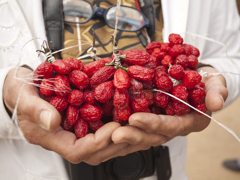 Chilli stock photo. Image of ingredient, fresh, pepper - 20872552