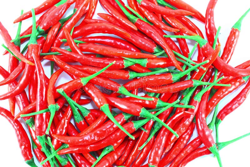 Chilli stock image. Image of healthy, food, nature, organic - 23610539