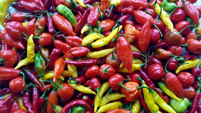 Chilli Background stock image. Image of colourful, habanero - 92361515
