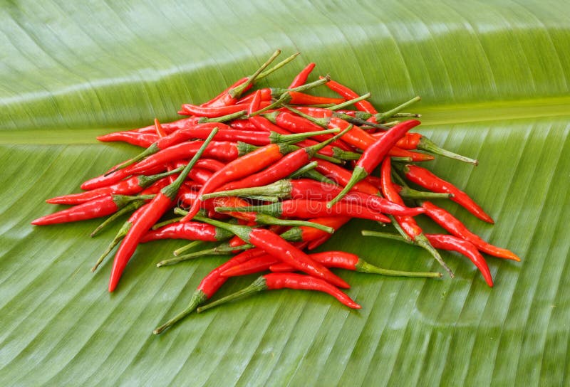 Red Chilli Banana Pepper With Green Stalk Stock Image - Image of close ...