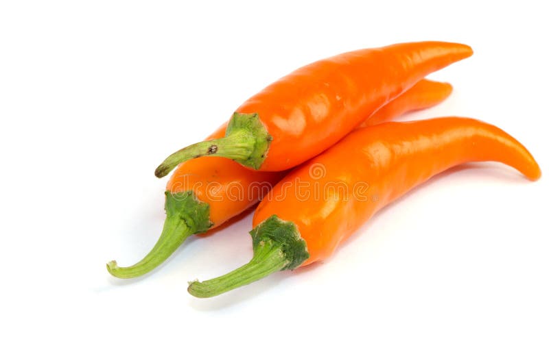 Chilli (Capsicum Frutescens L.) Stock Photo - Image of ...