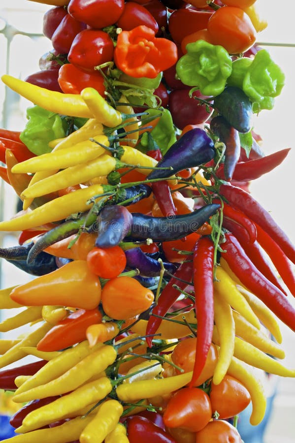 Chilli delight stock image. Image of multiple, colours - 46521771