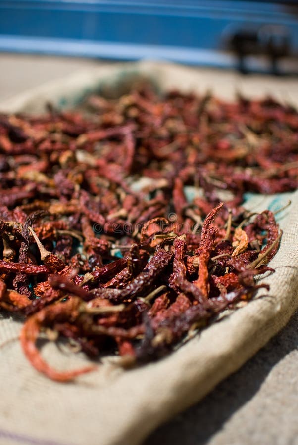 Chilli drying in a market stock photo. Image of chilli - 12781610