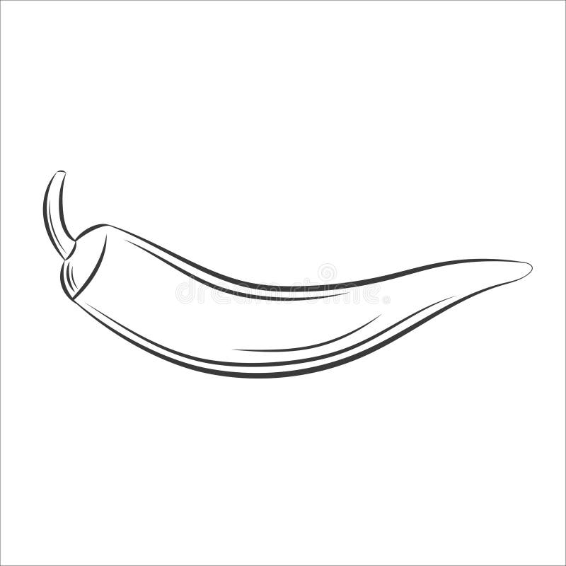 Chilli Line Drawing Etching Stock Illustrations – 90 Chilli Line ...