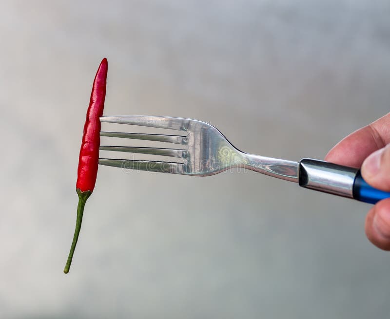 Chilli on Fork Represents Chili Pepper and Cayenne Stock Image - Image ...