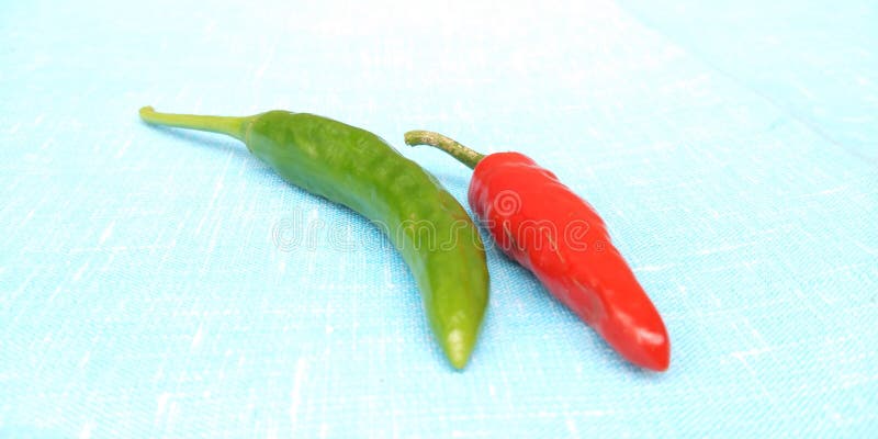 Chilli stock photo. Image of green, chillies, ingredient - 100199450