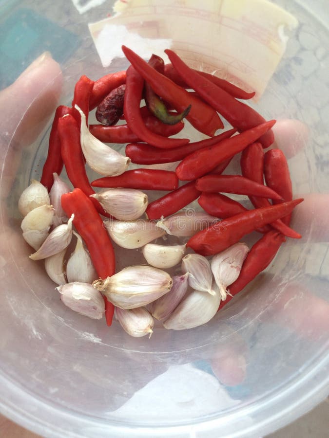 Chilli and garlic stock photo. Image of chilli, garlic - 72687706