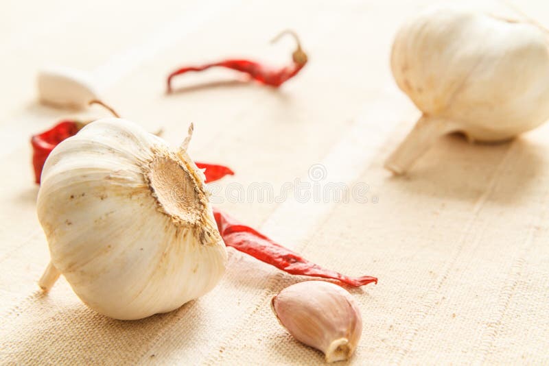 Chilli and garlic stock photo. Image of cuisine, ingredient - 33188300