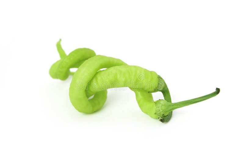 A Red Chilli in Green Plant Stock Photo - Image of chilli, single ...