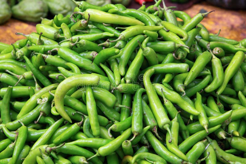 A Red Chilli in Green Plant Stock Photo - Image of chilli, single ...
