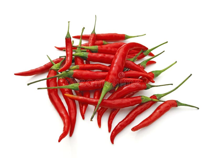 Chilli Isolated on White Background Stock Image - Image of seasoning ...