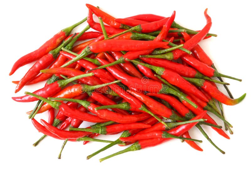 Chilli Isolated on White Background Stock Image - Image of capsicum ...