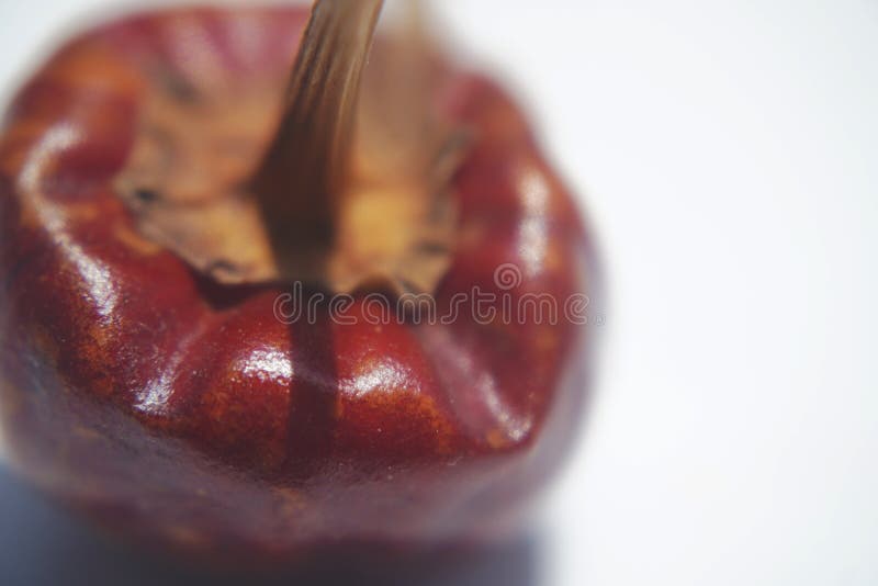 Chilli Macro Photo stock photo. Image of chilli, isolated - 251842088