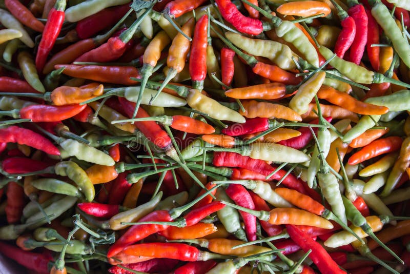 Chilli stock image. Image of food, cooking, border, nature - 65265287